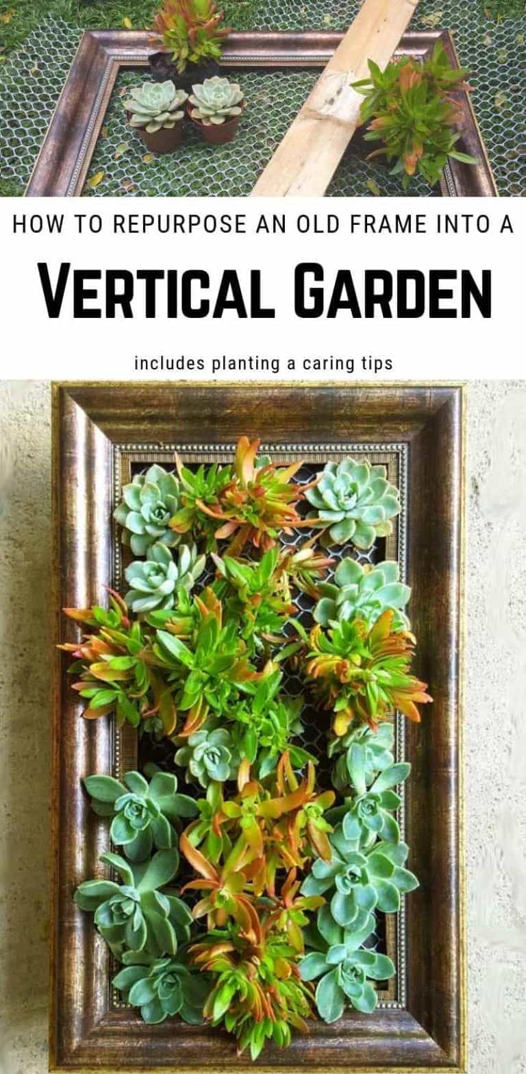 Re-purpose a Plastic Frame to Make a Vertical Garden - A Crafty Mix