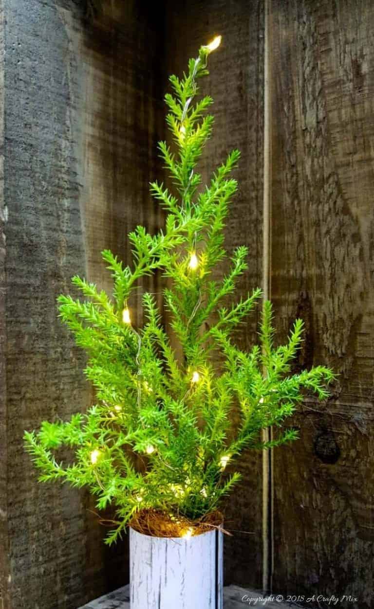 5 Minute Real Miniature Christmas Tree With Lights - A Crafty Mix