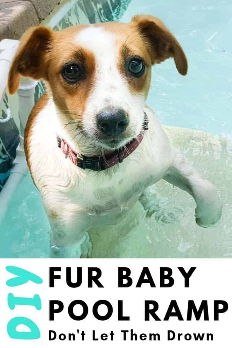 DIY Dog Pool Ramp – Don’t Let Them Drown - A Crafty Mix