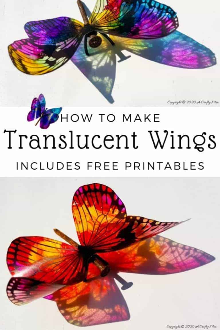 How to Make Translucent Dragonfly Wings - A Crafty Mix