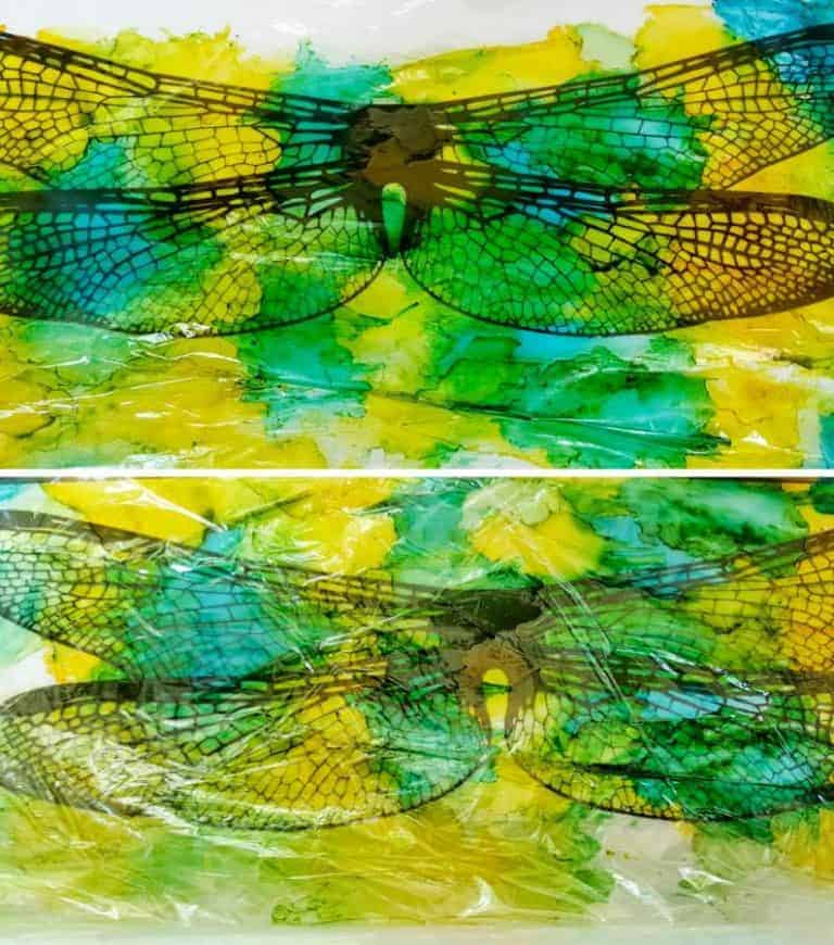 How to Make Translucent Dragonfly Wings - A Crafty Mix