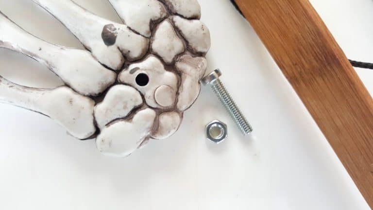 Repurposed Skeleton Hand Ice Tongs - A Humerus Halloween Craft - A ...
