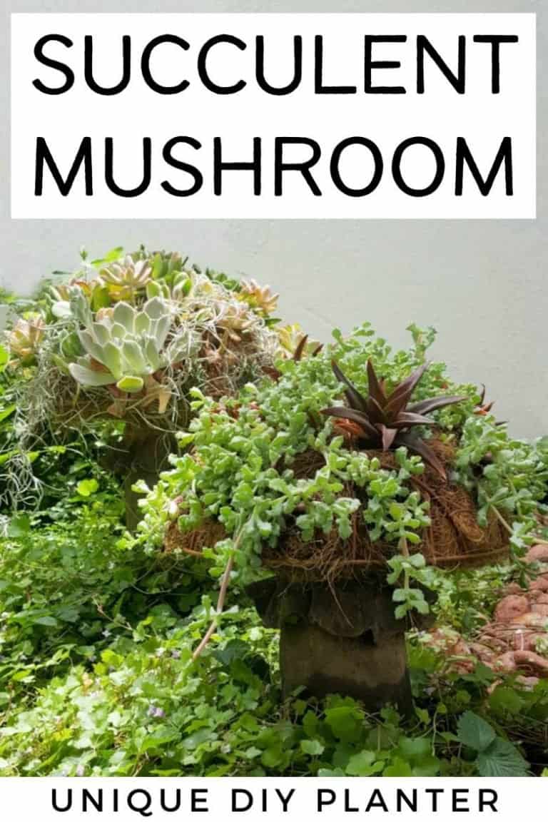 How to Make a Gorgeous Succulent Mushroom Planter - A Crafty Mix