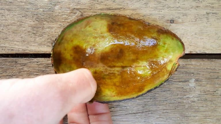 DIY Rustic Avocado Sailboat - Easy Coastal Decor - A Crafty Mix