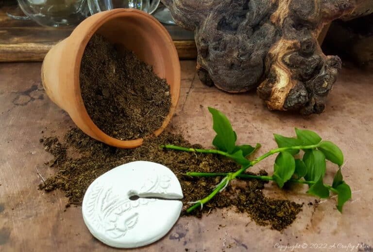 Quick and Easy Cutting Propagation Discs - A Crafty Mix