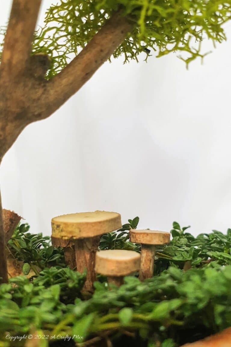 Making a Miniature Seashell Garden - A Crafty Mix