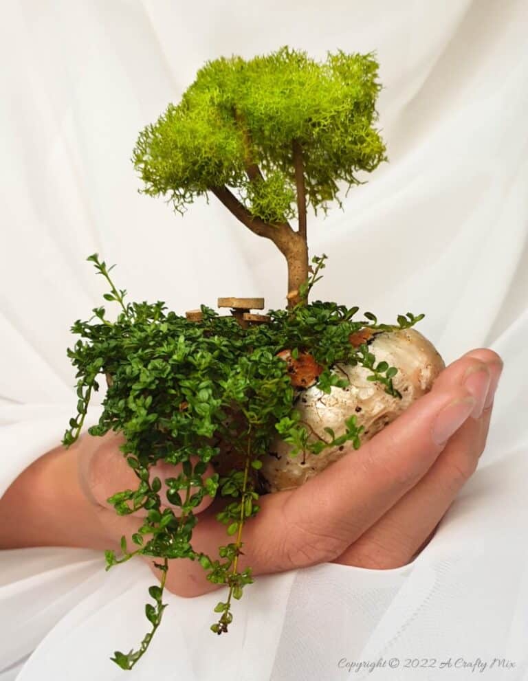 Making a Miniature Seashell Garden - A Crafty Mix