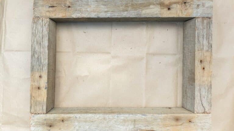 Living 3D Art – An Inexpensive Air Plant Shadow Box - A Crafty Mix