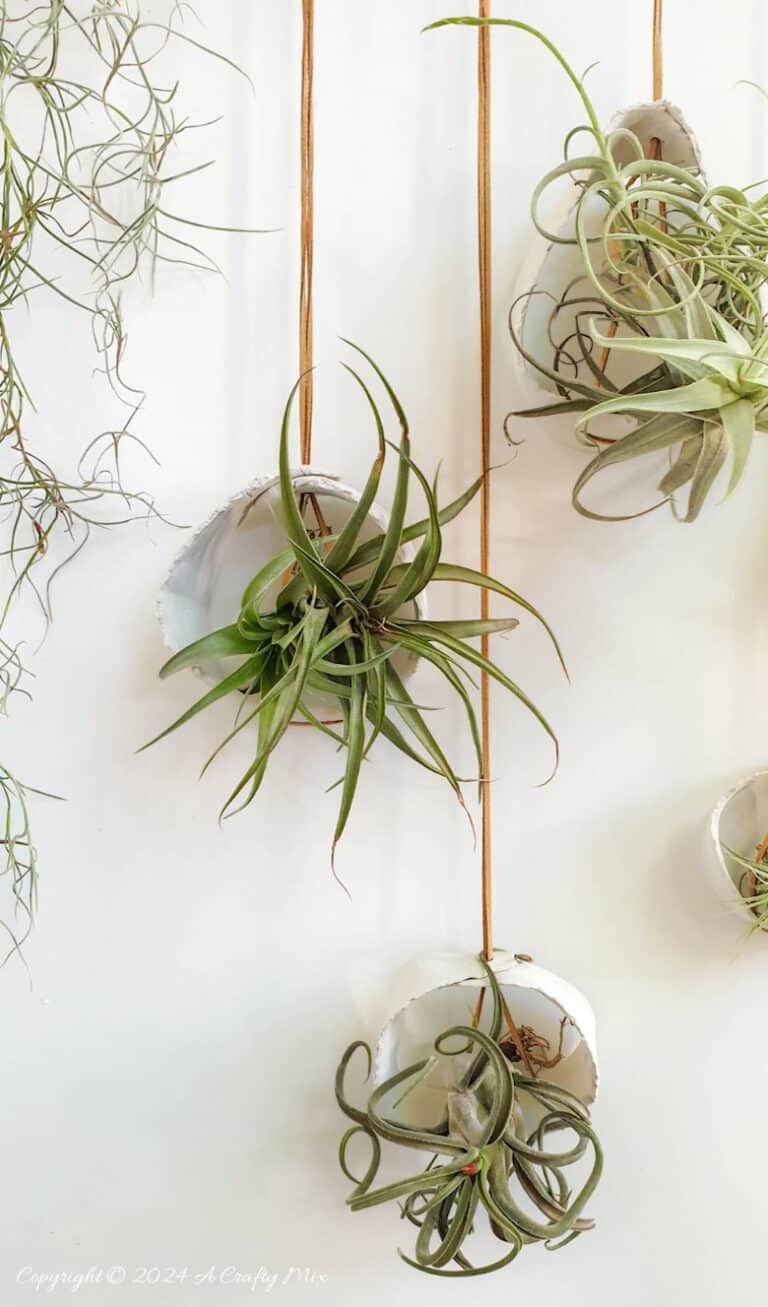 Simple Hanging Clay Tubes - Air Plant Décor - A Crafty Mix