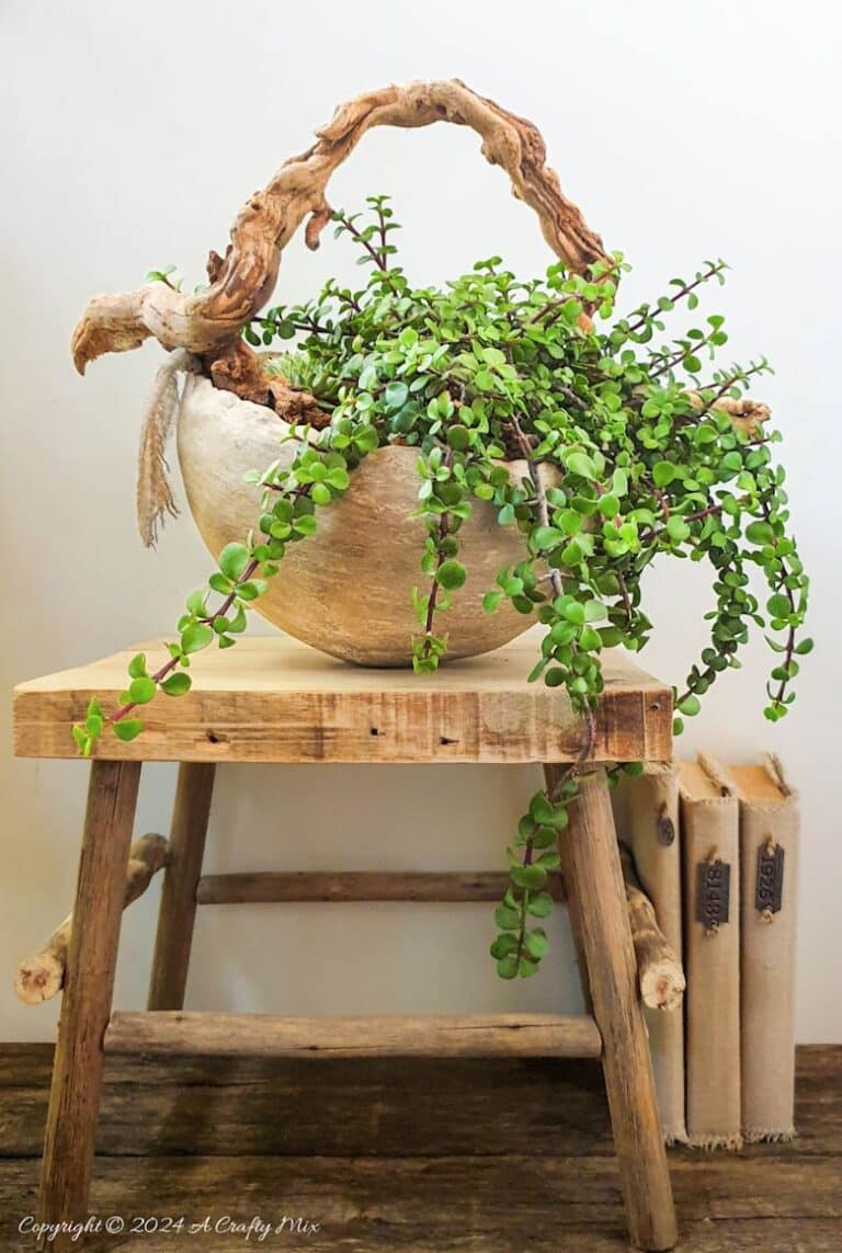 DIY Stone Planter With a Vine Handle - A Crafty Mix