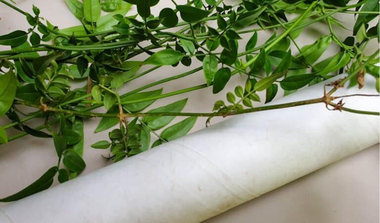 How to Make Fake Moss using a Bath Sponge - A Crafty Mix