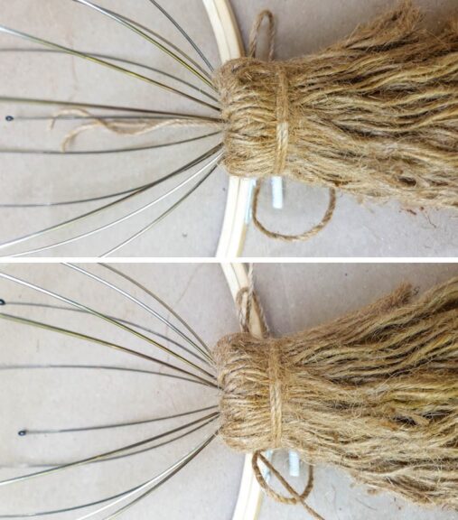 From Head Scratchers to Head-Turners: Displaying Air Plants - A Crafty Mix