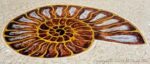 Simply Gorgeous Mosaic with Ammonite Inlay DIY - A Crafty Mix