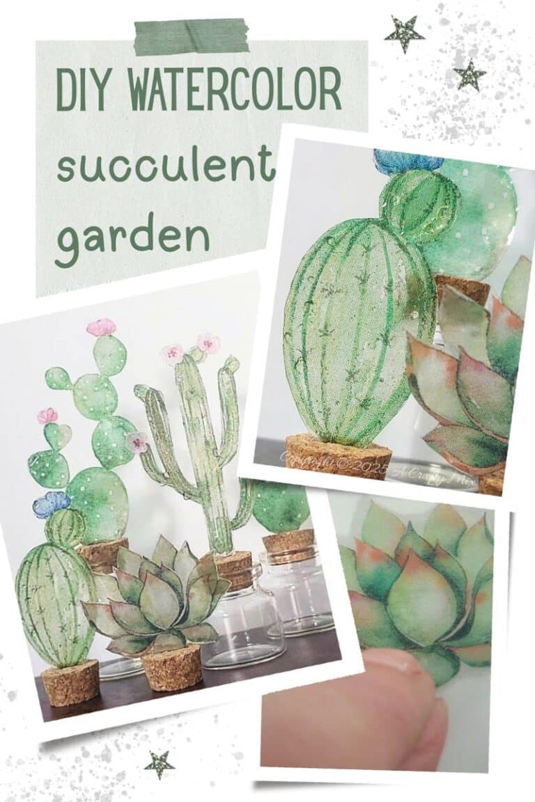 Make a Whimsical Watercolor-Inspired Succulent Garden - A Crafty Mix